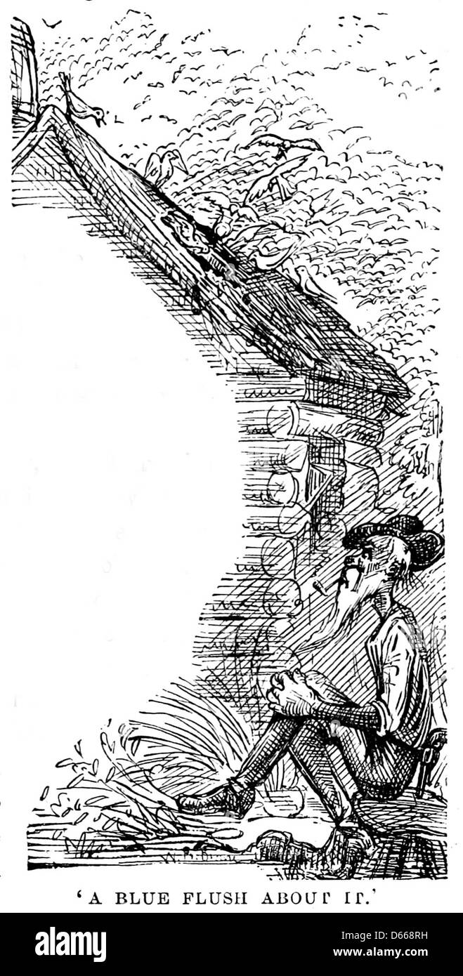 Illustrated by W. Fr. Brown, True Williams, and B. Day, this 1885 ...