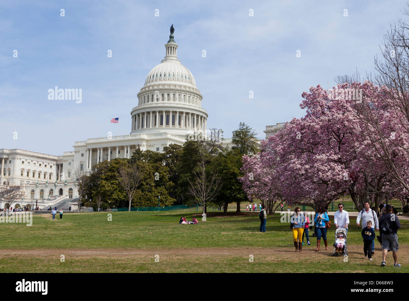 Springtime at the US Capitol building - Washington, DC USA Stock Photo ...