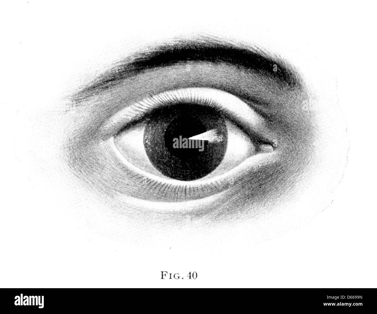 A 1903 textbook focused on the art of show-card writing, with an ...