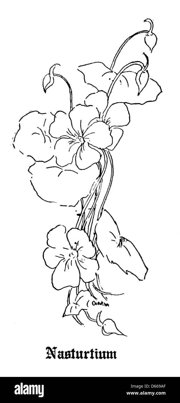 Language of flowers book Black and White Stock Photos & Images - Alamy