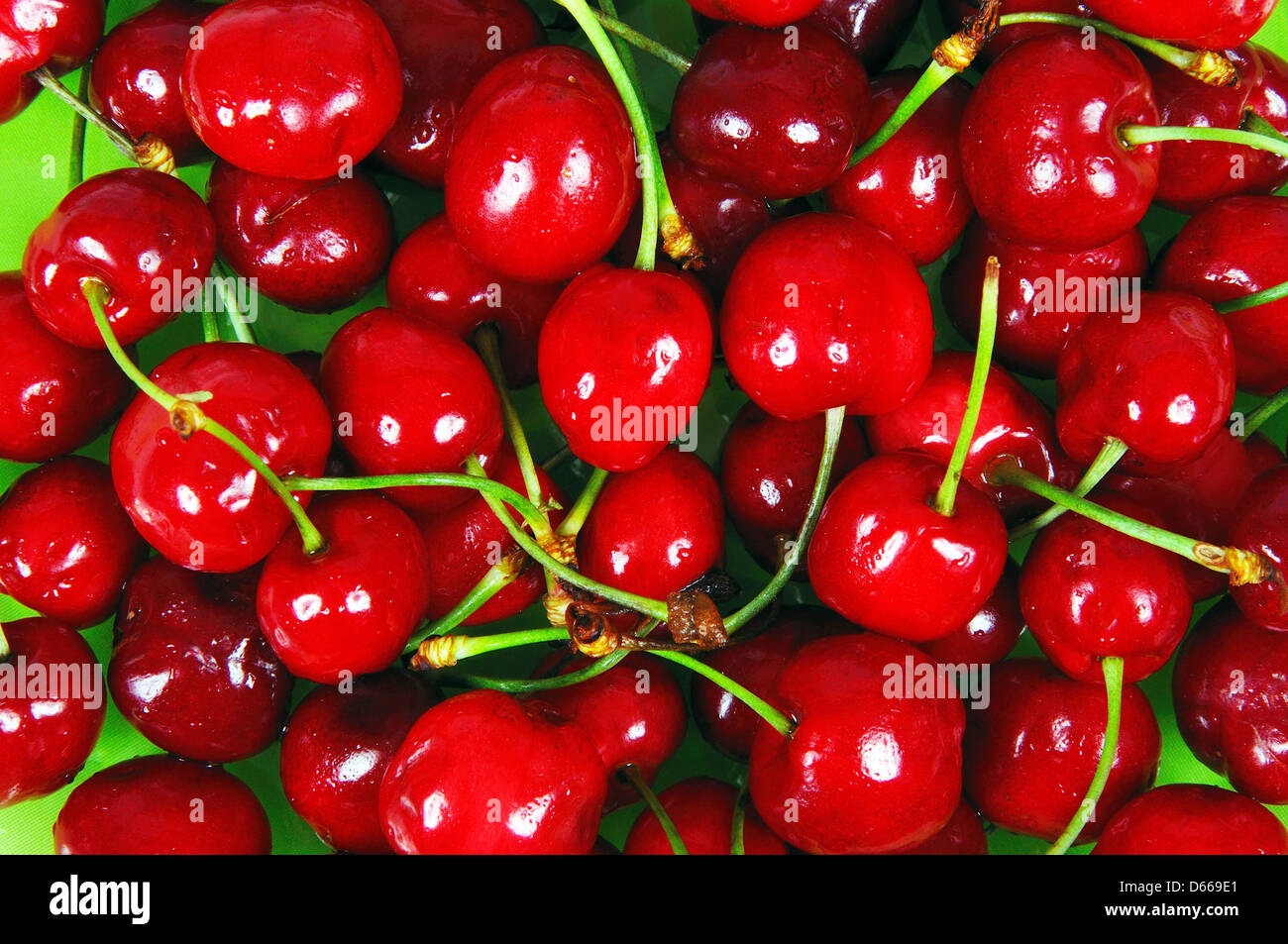 Fresh red cherries against a green background Stock Photo - Alamy