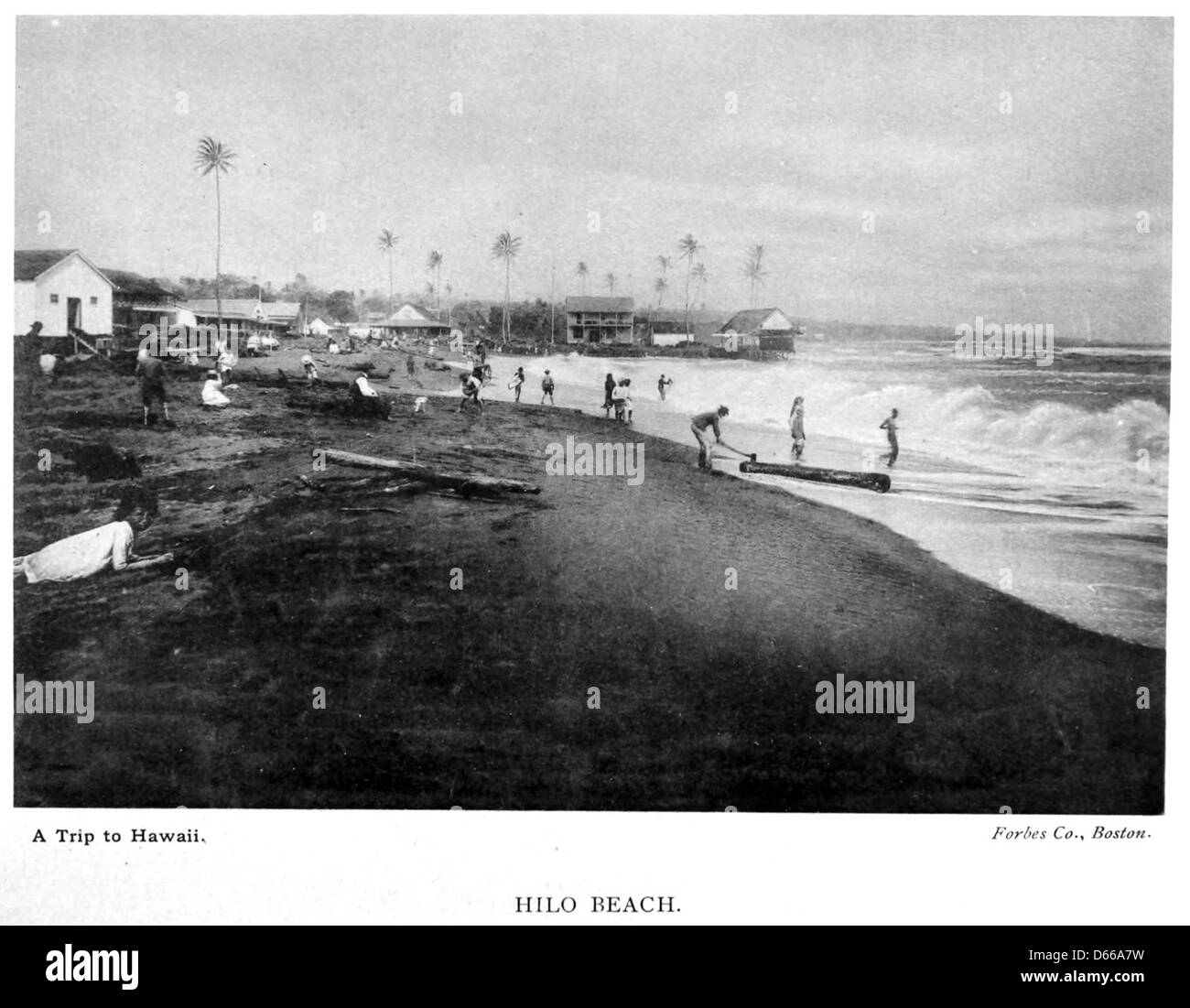 This 1892 photograph documents a trip to Hawaii, featuring the scenic ...
