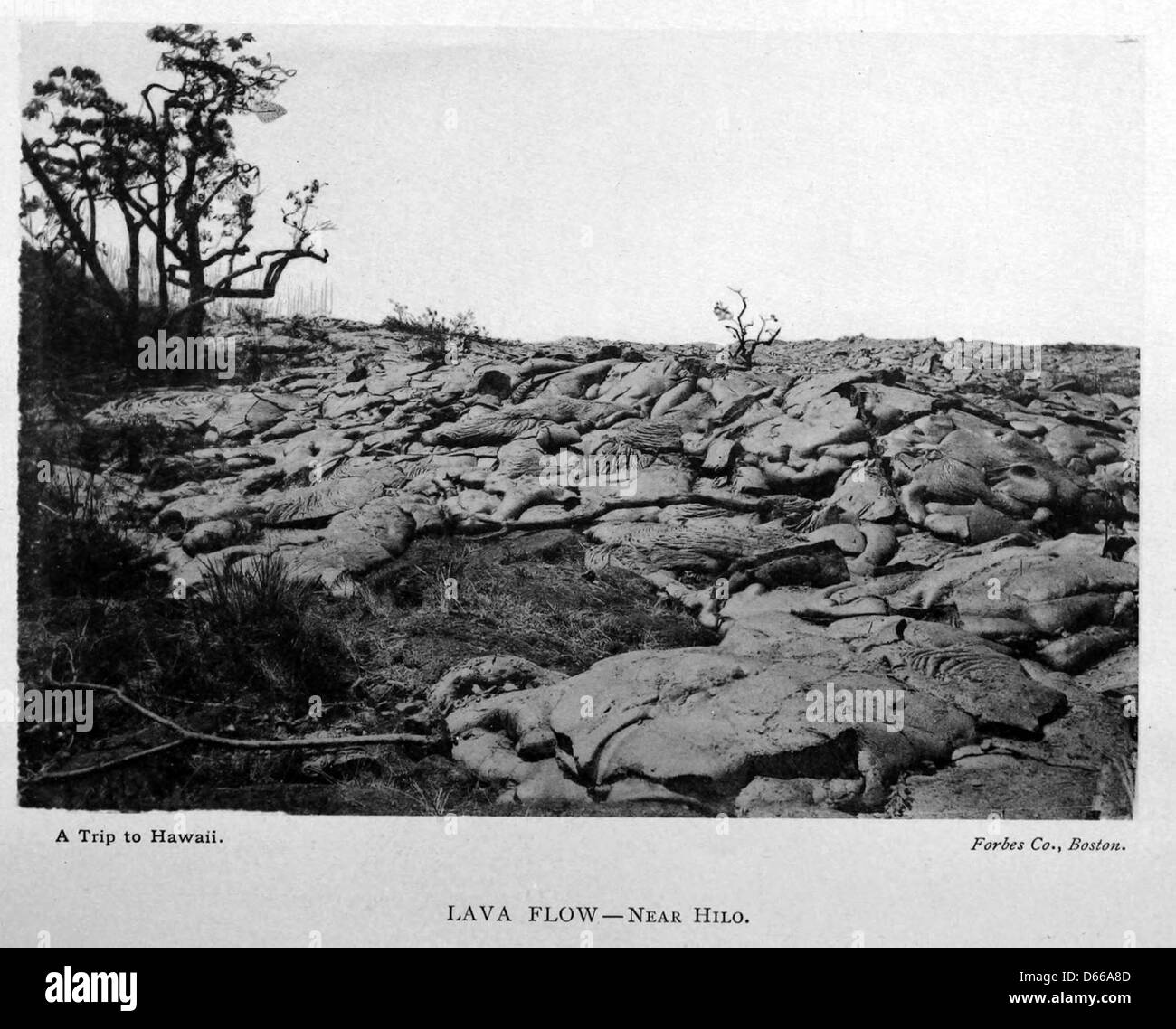 Old hilo and hawaii Black and White Stock Photos & Images - Alamy