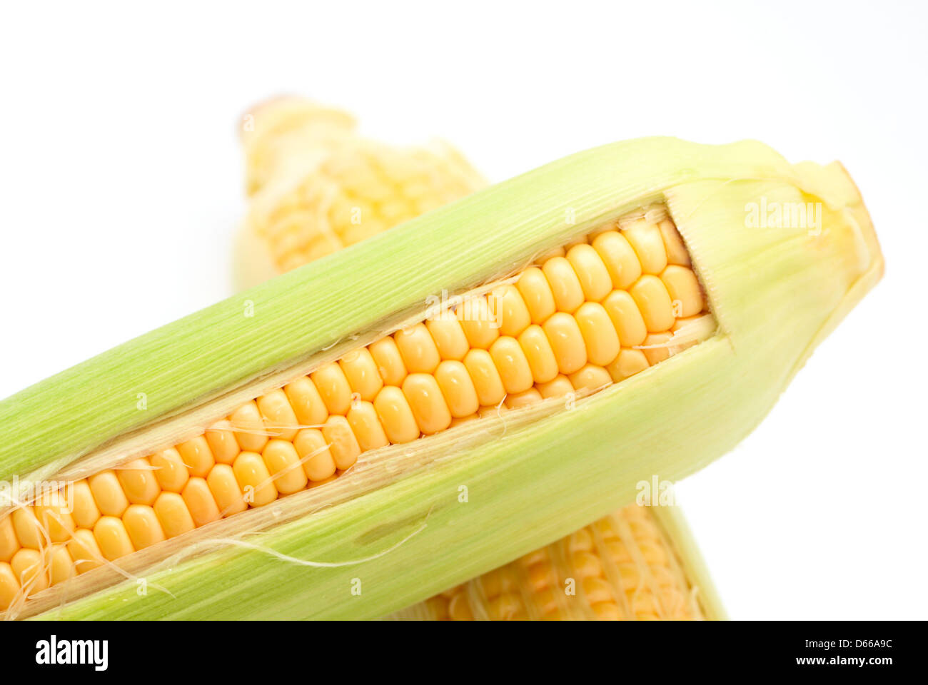 Crunchy Fresh Sweetcorn isolated on white Stock Photo - Alamy