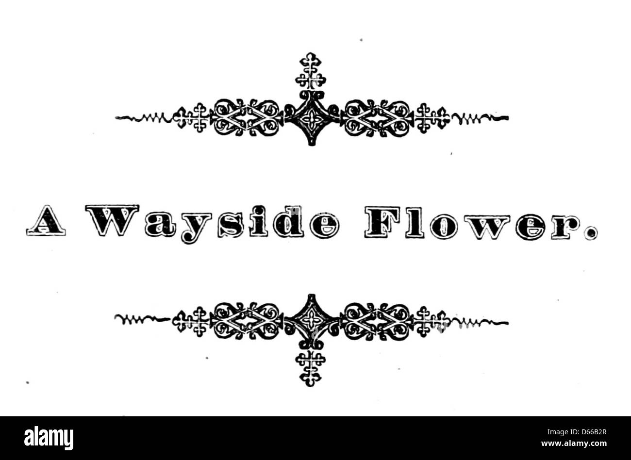 This 1875 collection of poems is accompanied by decorative typographic ...