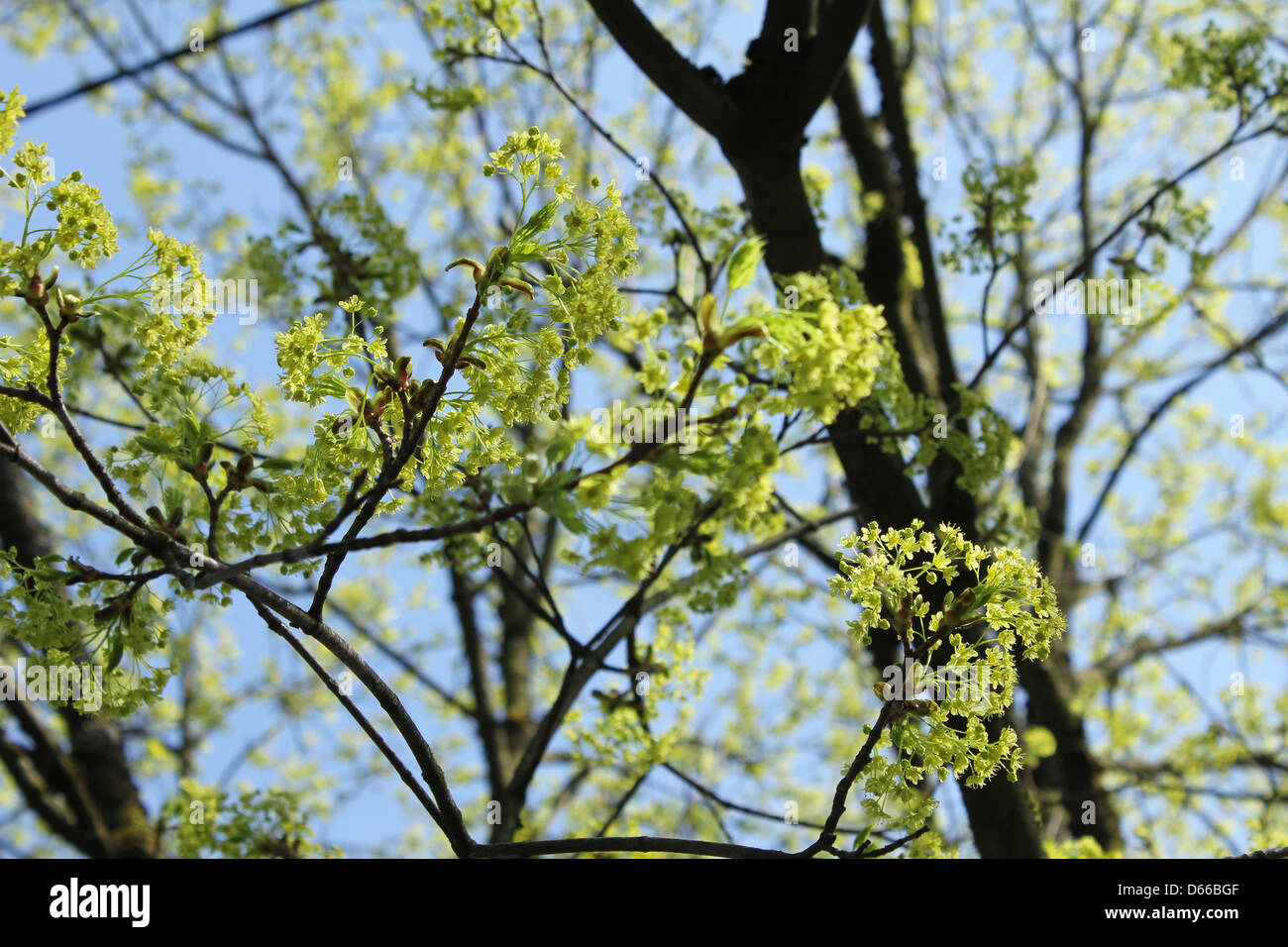 three poll time Stock Photo - Alamy