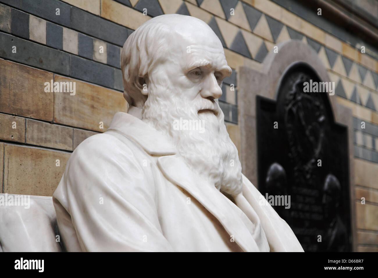 Charles darwin statue natural history hi-res stock photography and ...