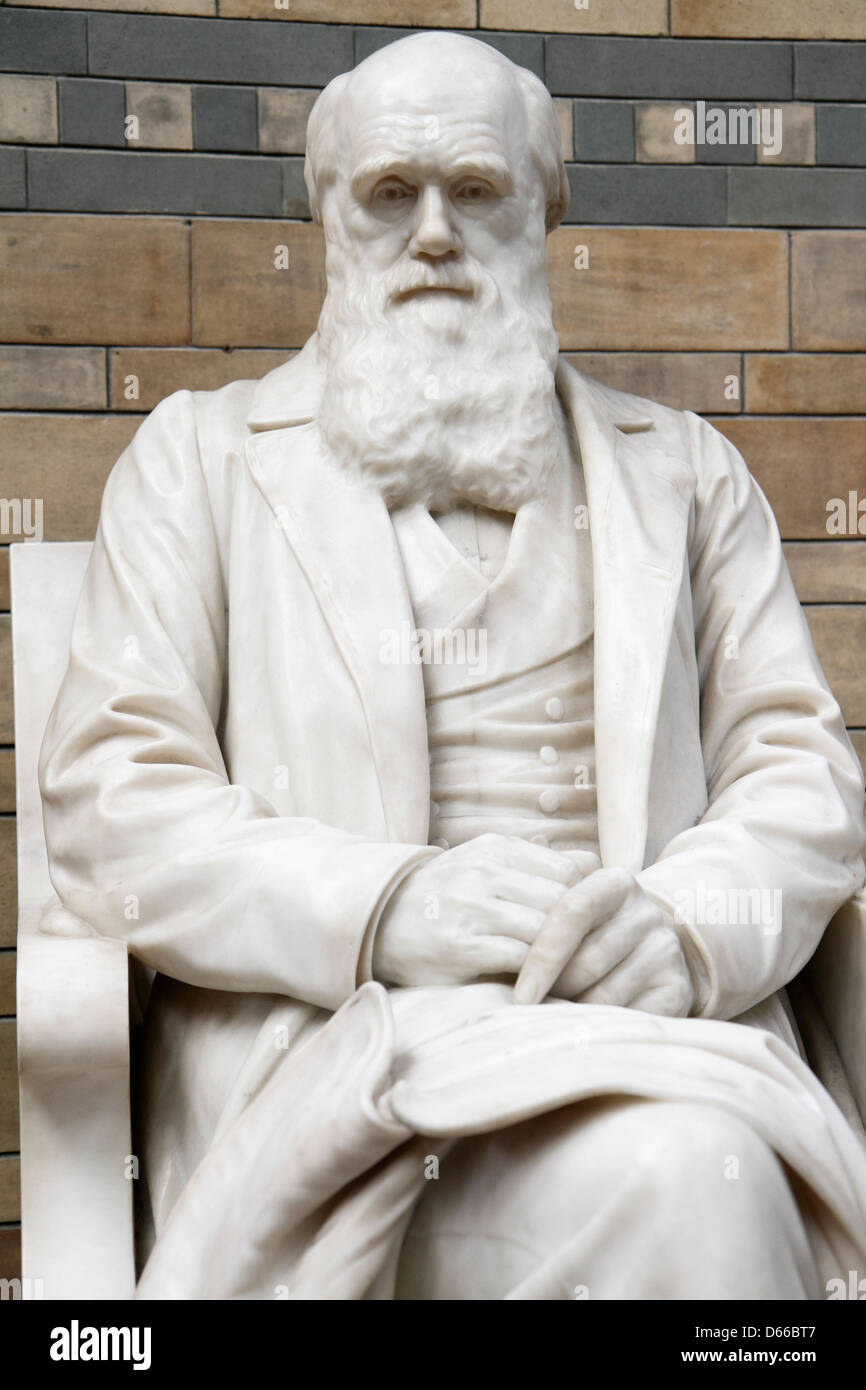 Charles darwin statue hi-res stock photography and images - Alamy