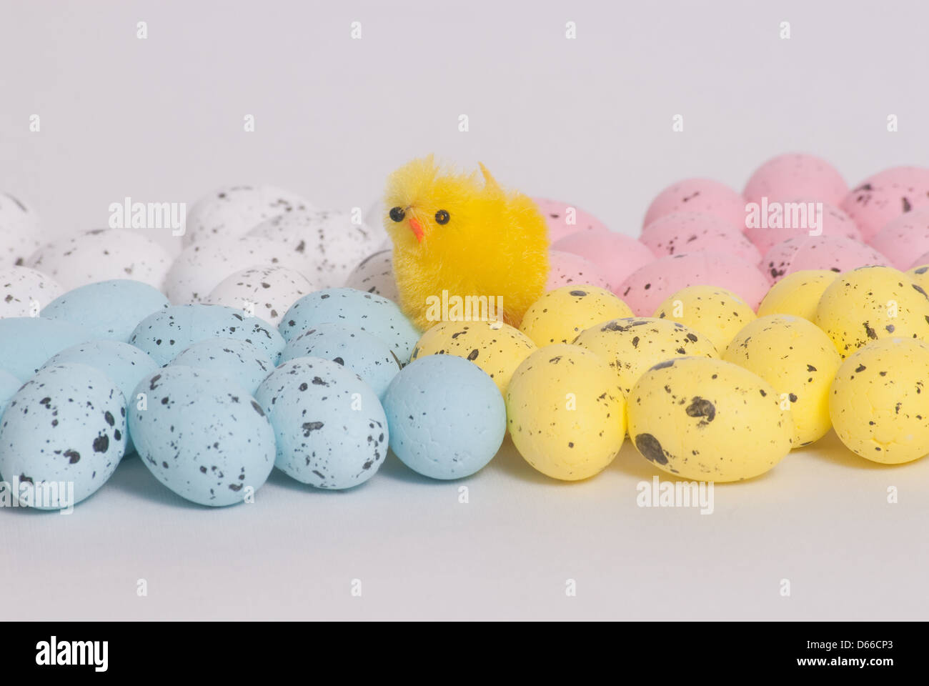 Easter chicks hi-res stock photography and images - Alamy