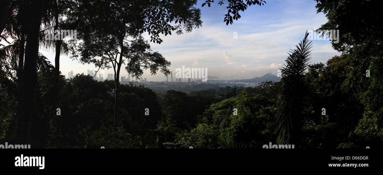 Panama jungle hi-res stock photography and images - Alamy