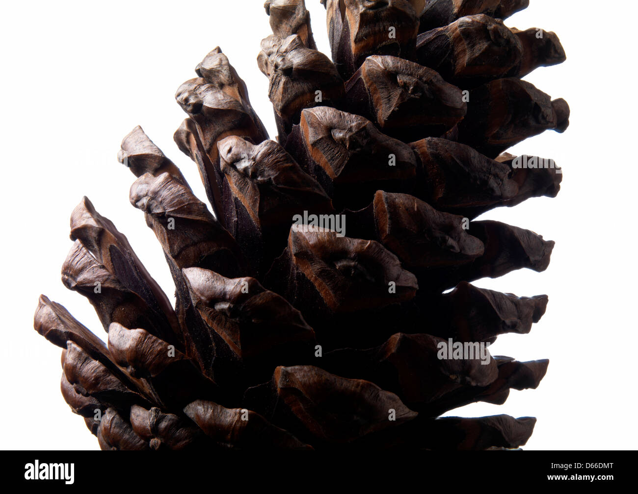 Cone forms hi-res stock photography and images - Alamy