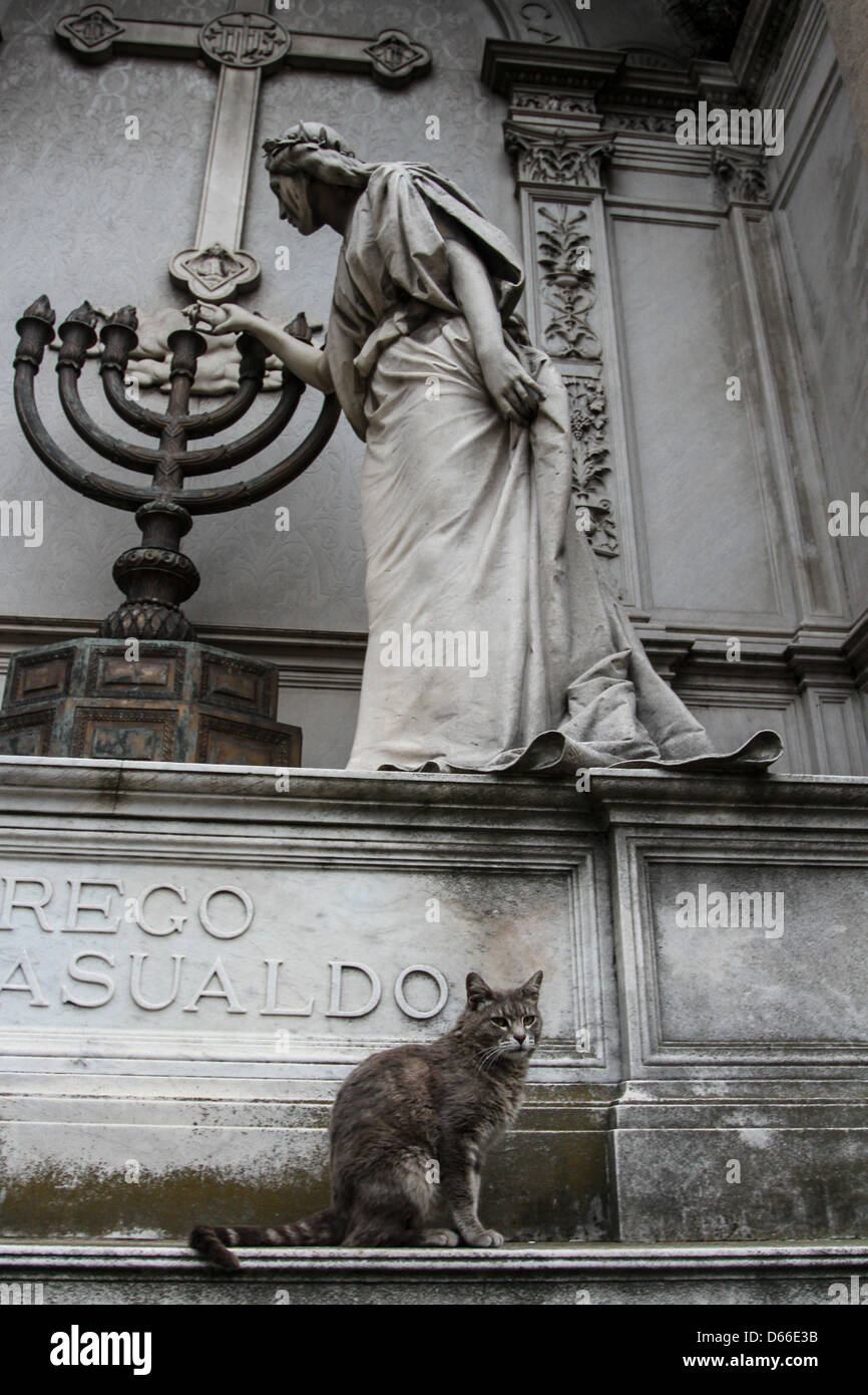 A cat sits by a tomb Stock Photo - Alamy