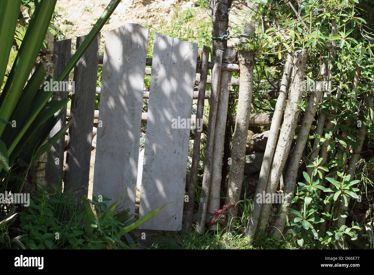 Plant gate hi-res stock photography and images - Alamy