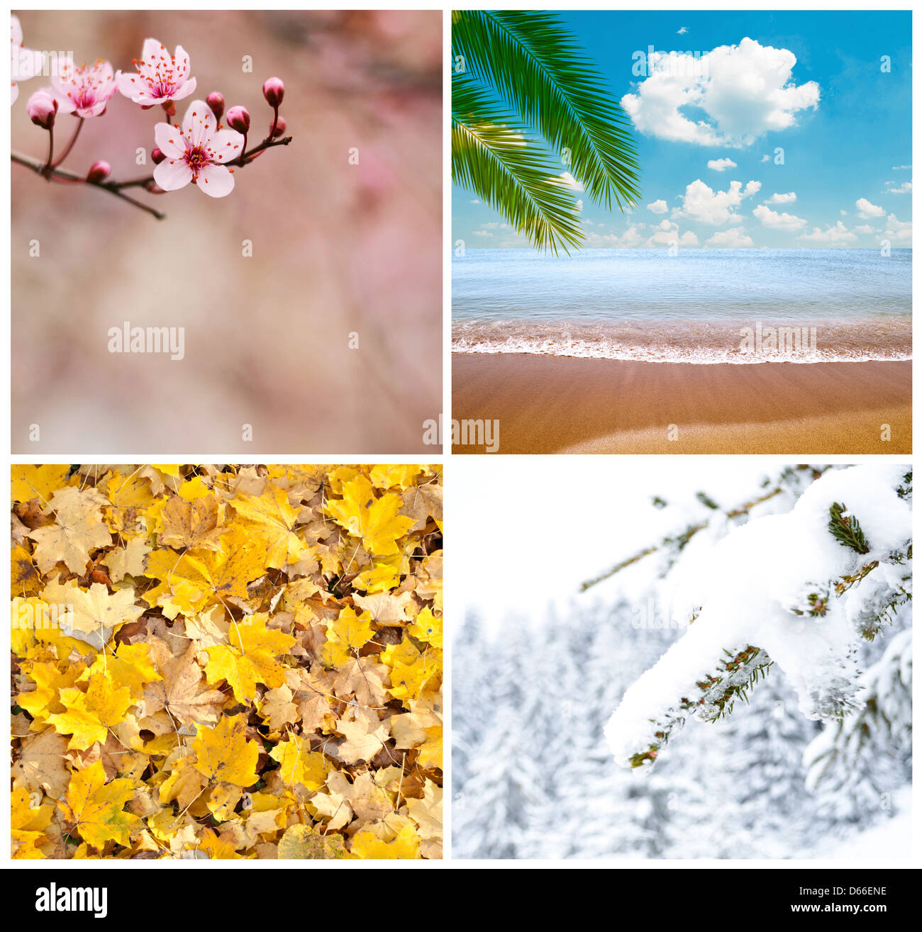 4 seasons collage hi-res stock photography and images - Alamy