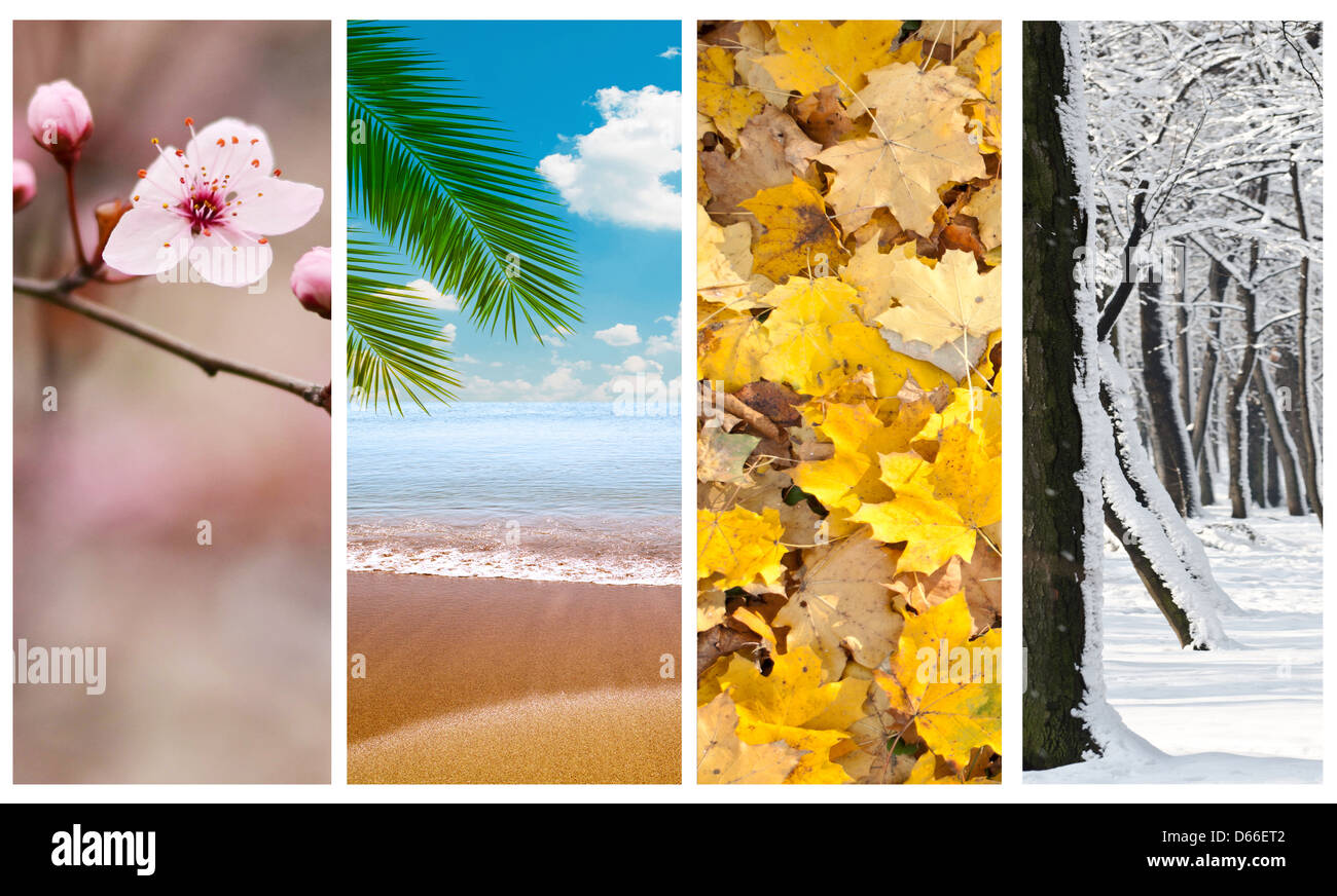 4 seasons collage hi-res stock photography and images - Alamy