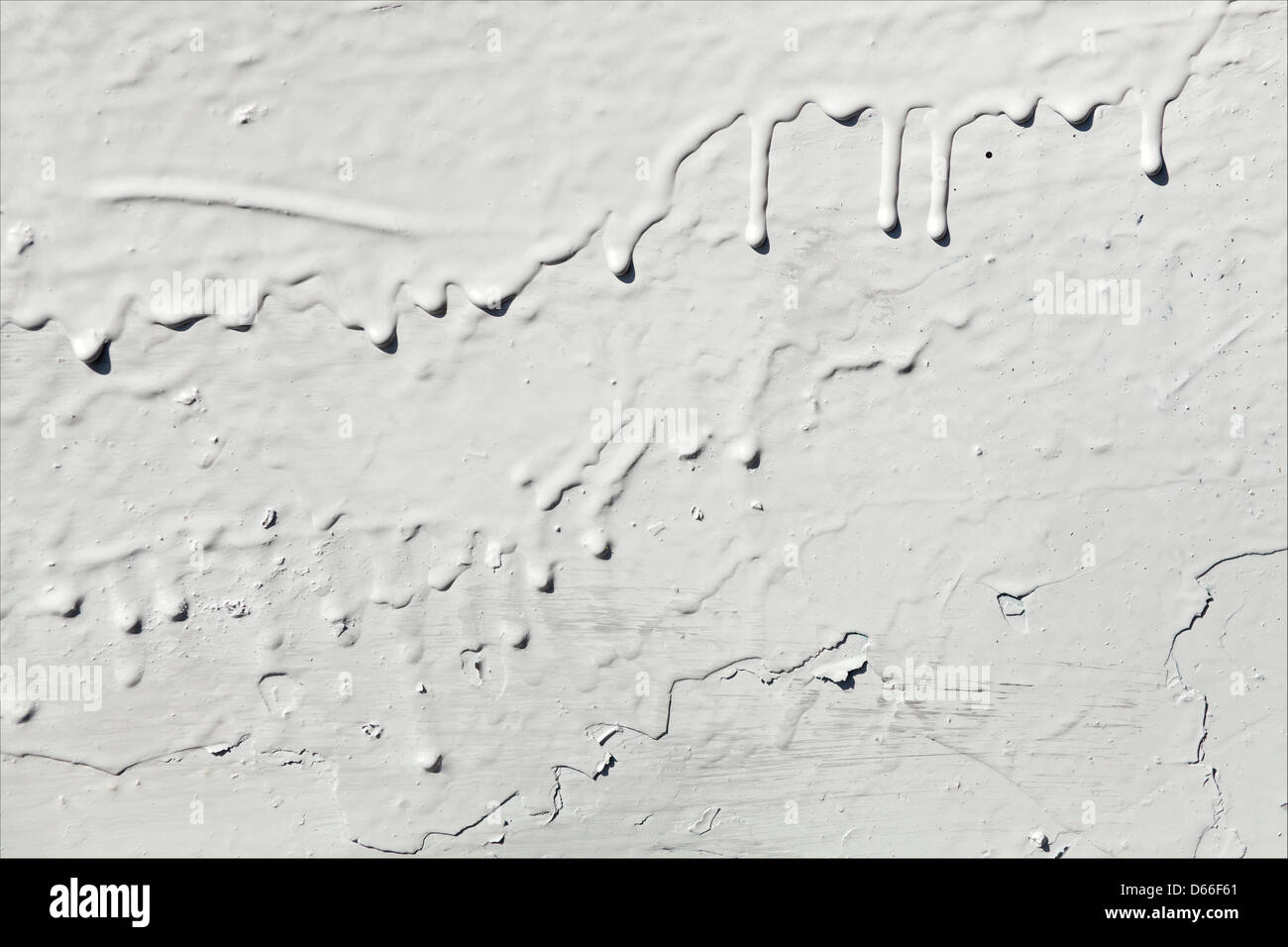 Gray background plate hi-res stock photography and images - Alamy