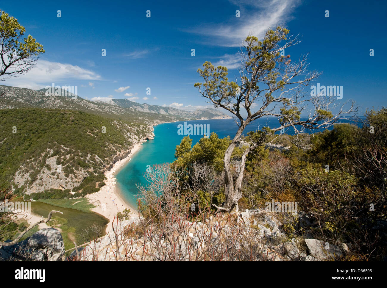 Juniper beach hi-res stock photography and images - Alamy