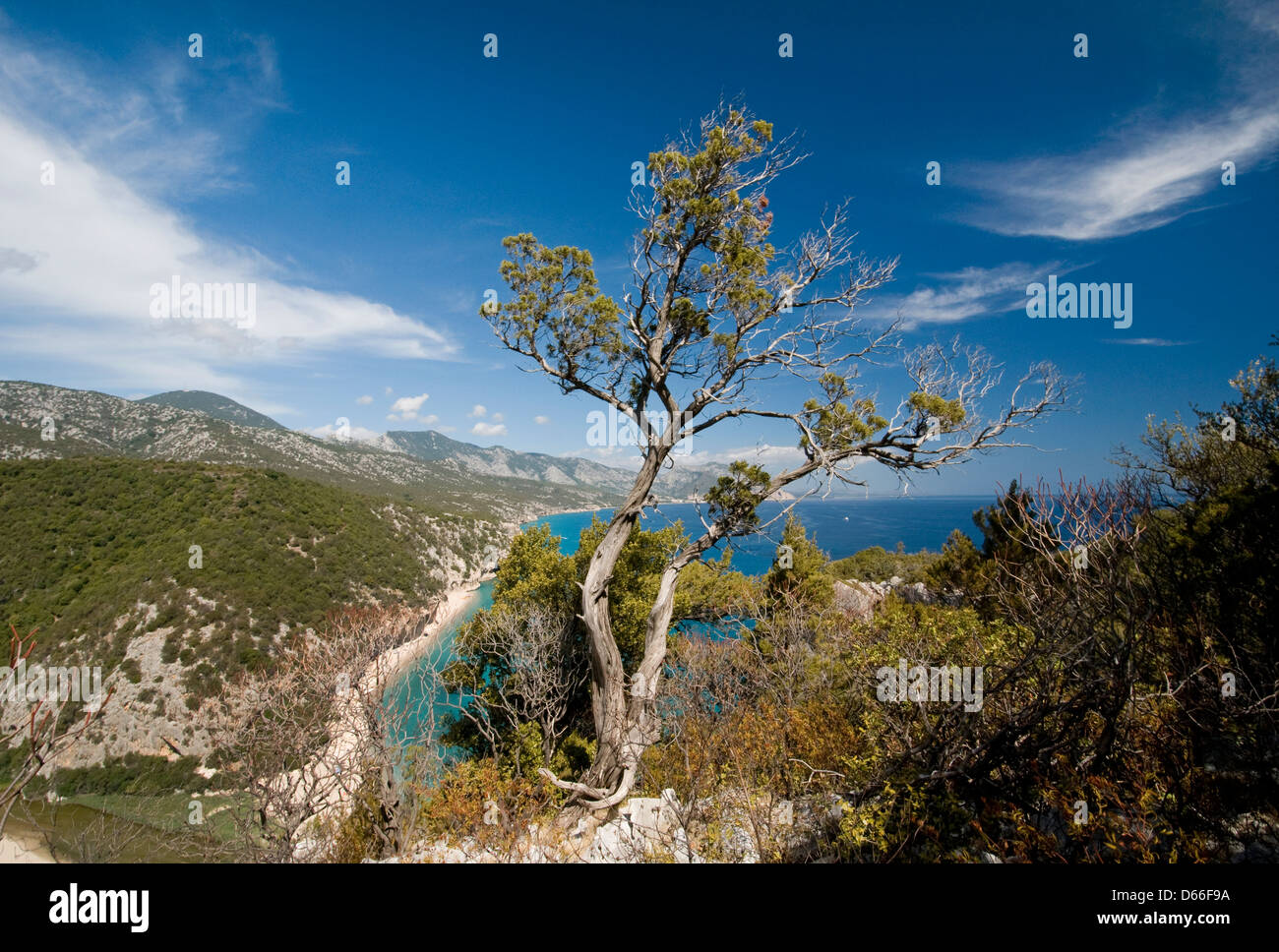 Juniper beach hi-res stock photography and images - Alamy