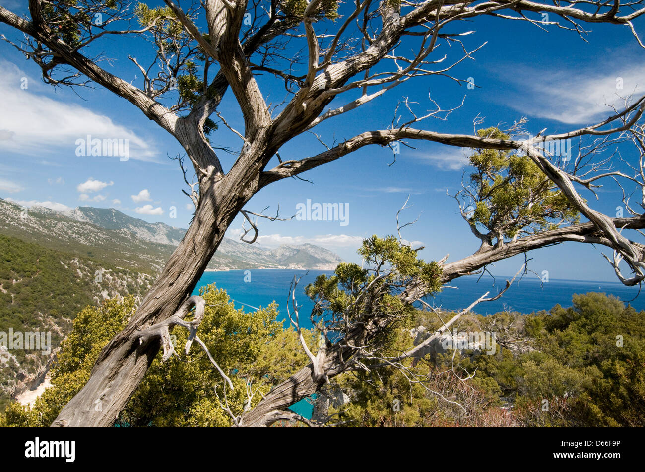 Juniper beach hi-res stock photography and images - Alamy