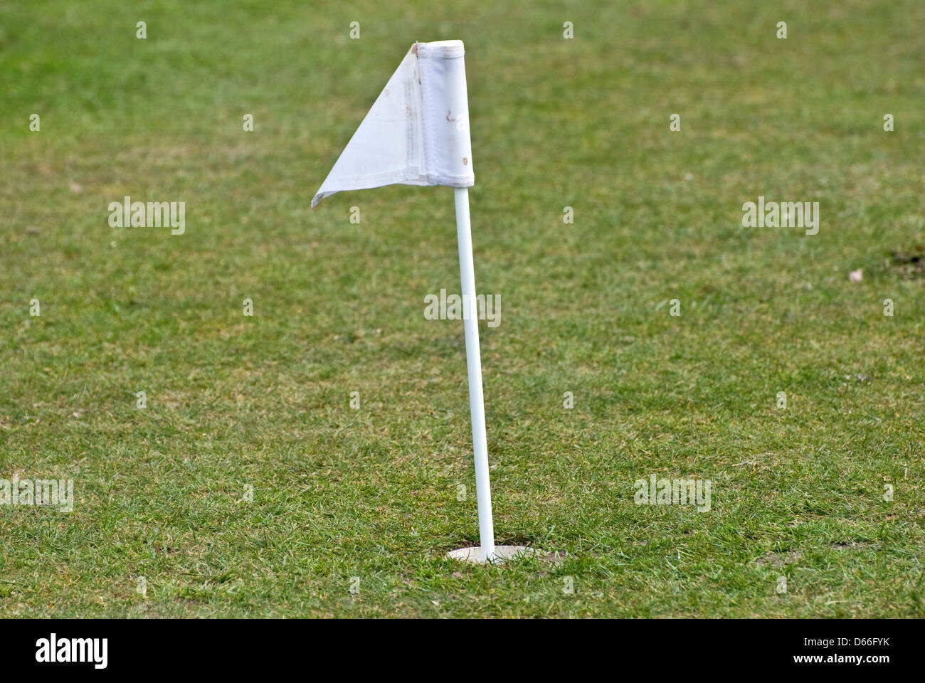Small white flag Stock Photo - Alamy
