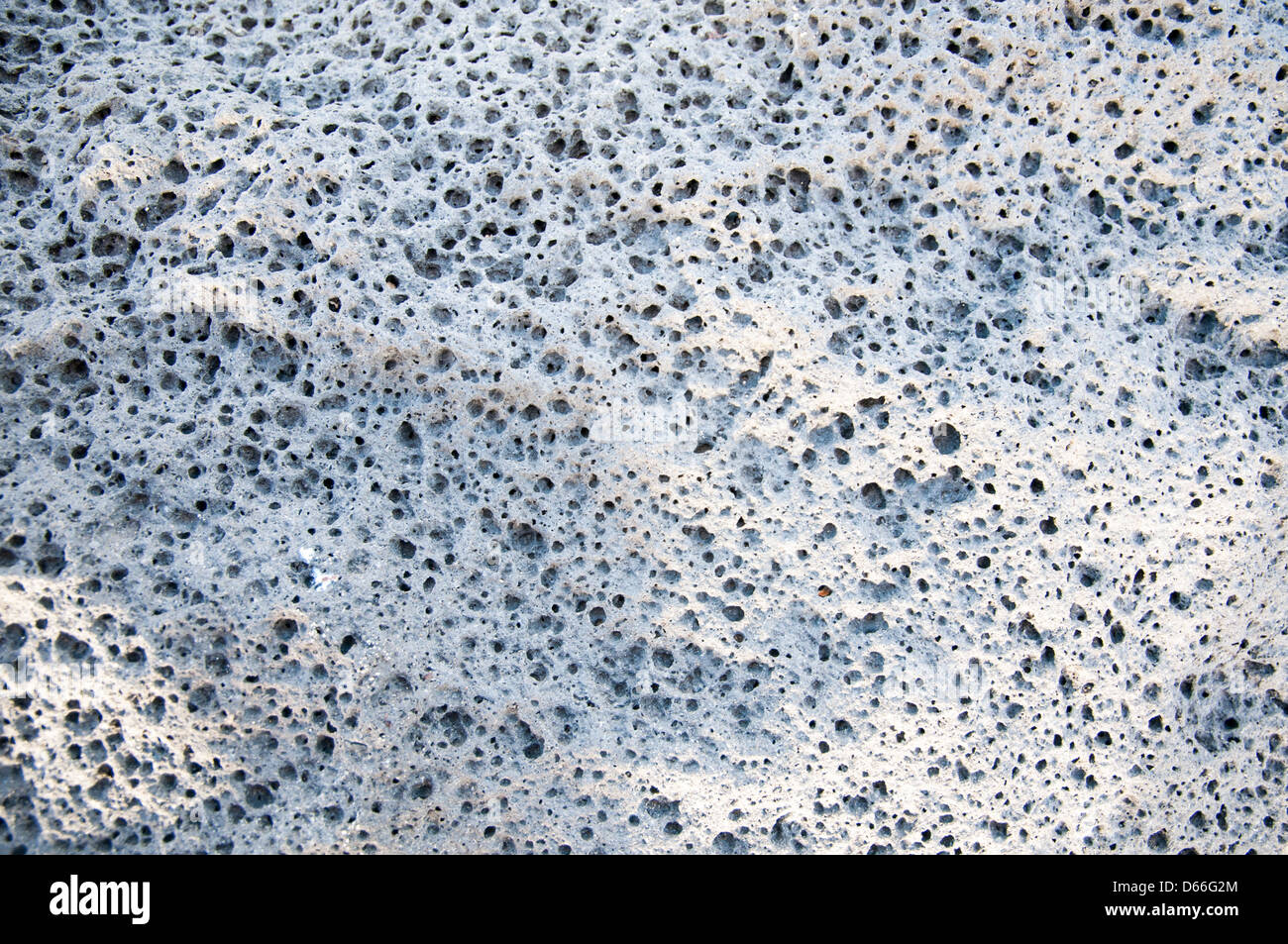 bottom of a rock with many pores white Stock Photo - Alamy