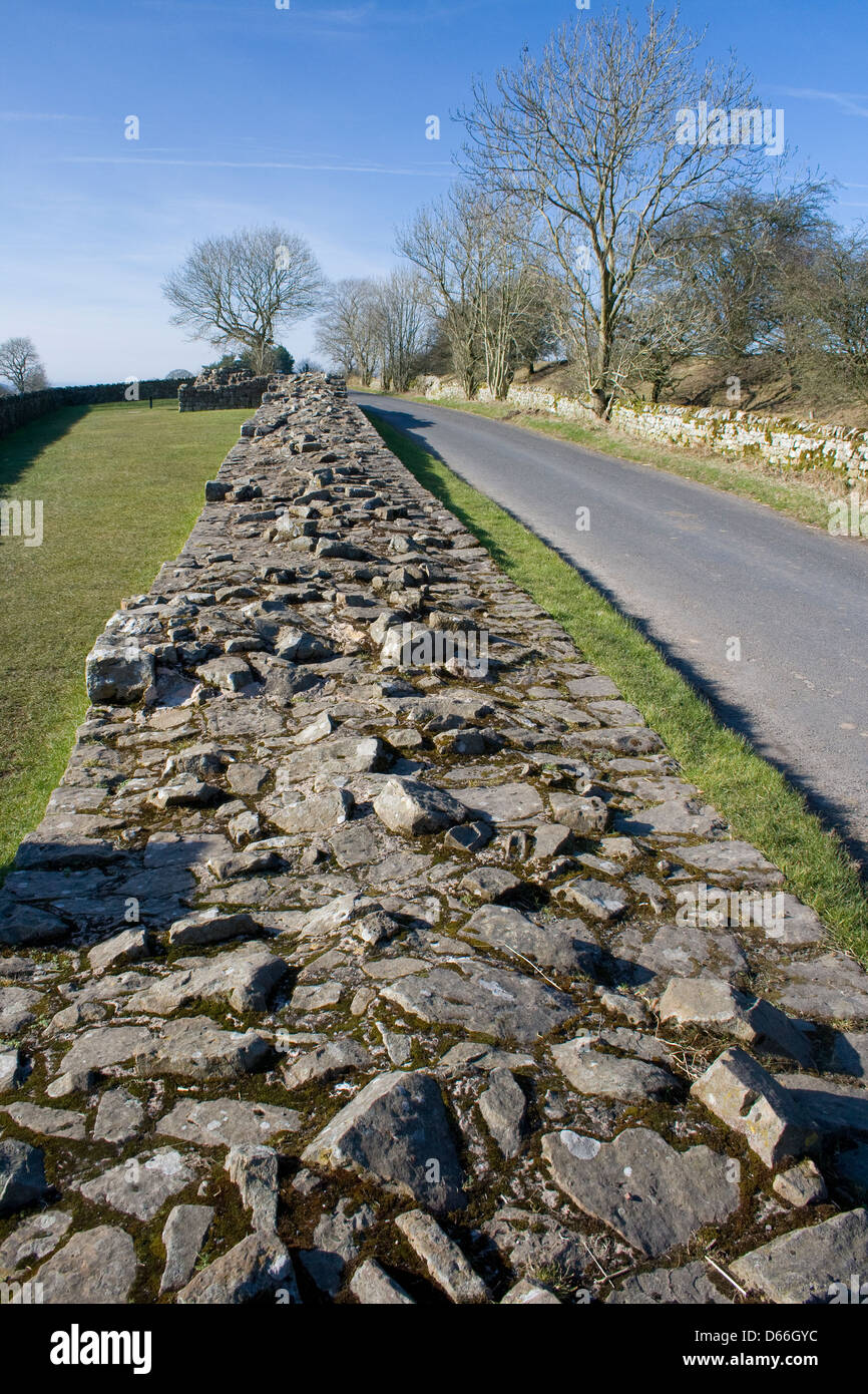 Hadrian's Wall at Banks, Cumbria Stock Photo - Alamy