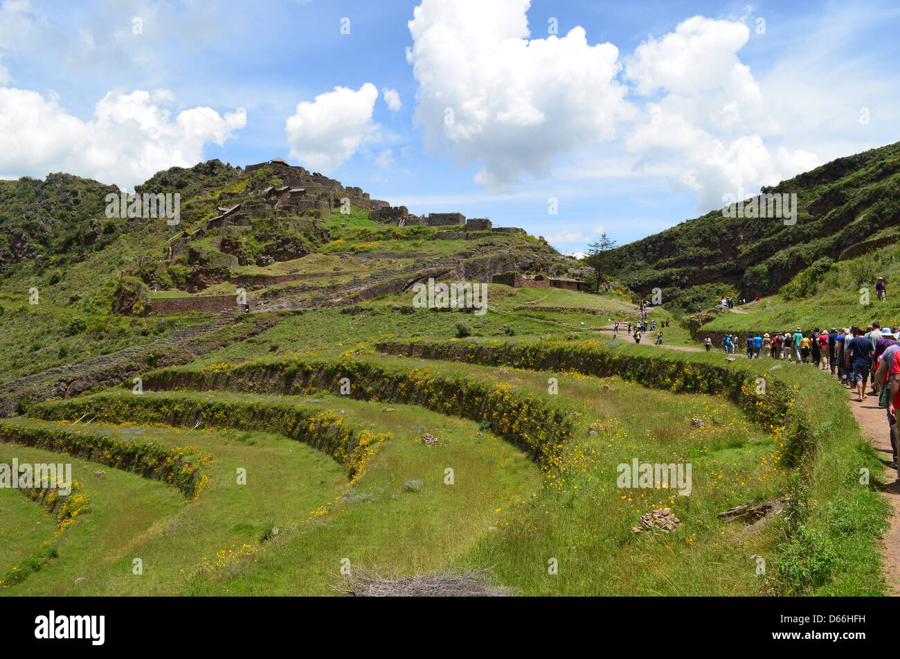 Inca ruins and terraces at Pisac, Cusco, Peru Stock Photo - Alamy
