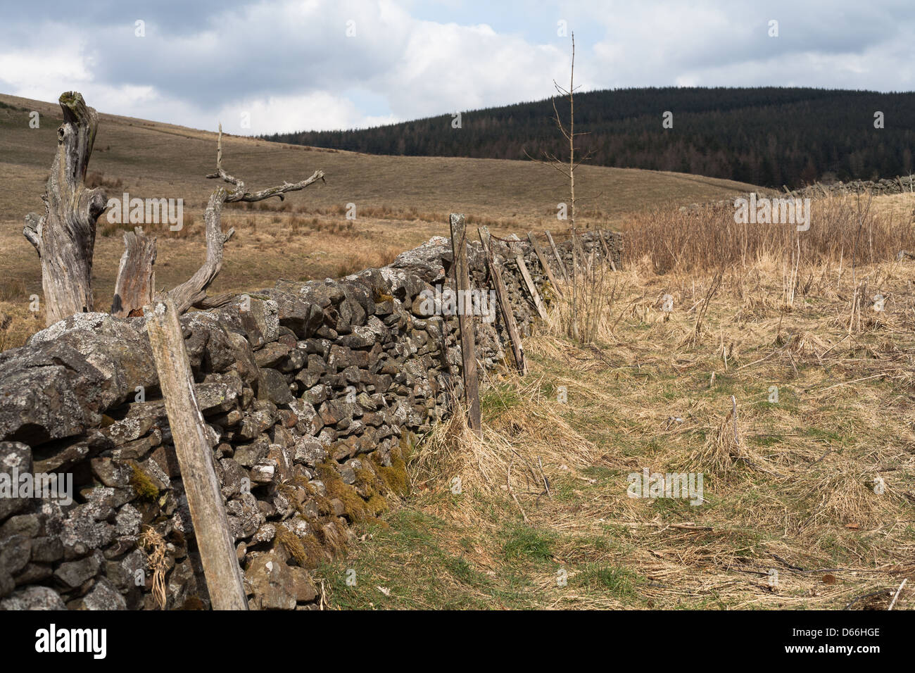 Dyke wall hi-res stock photography and images - Alamy