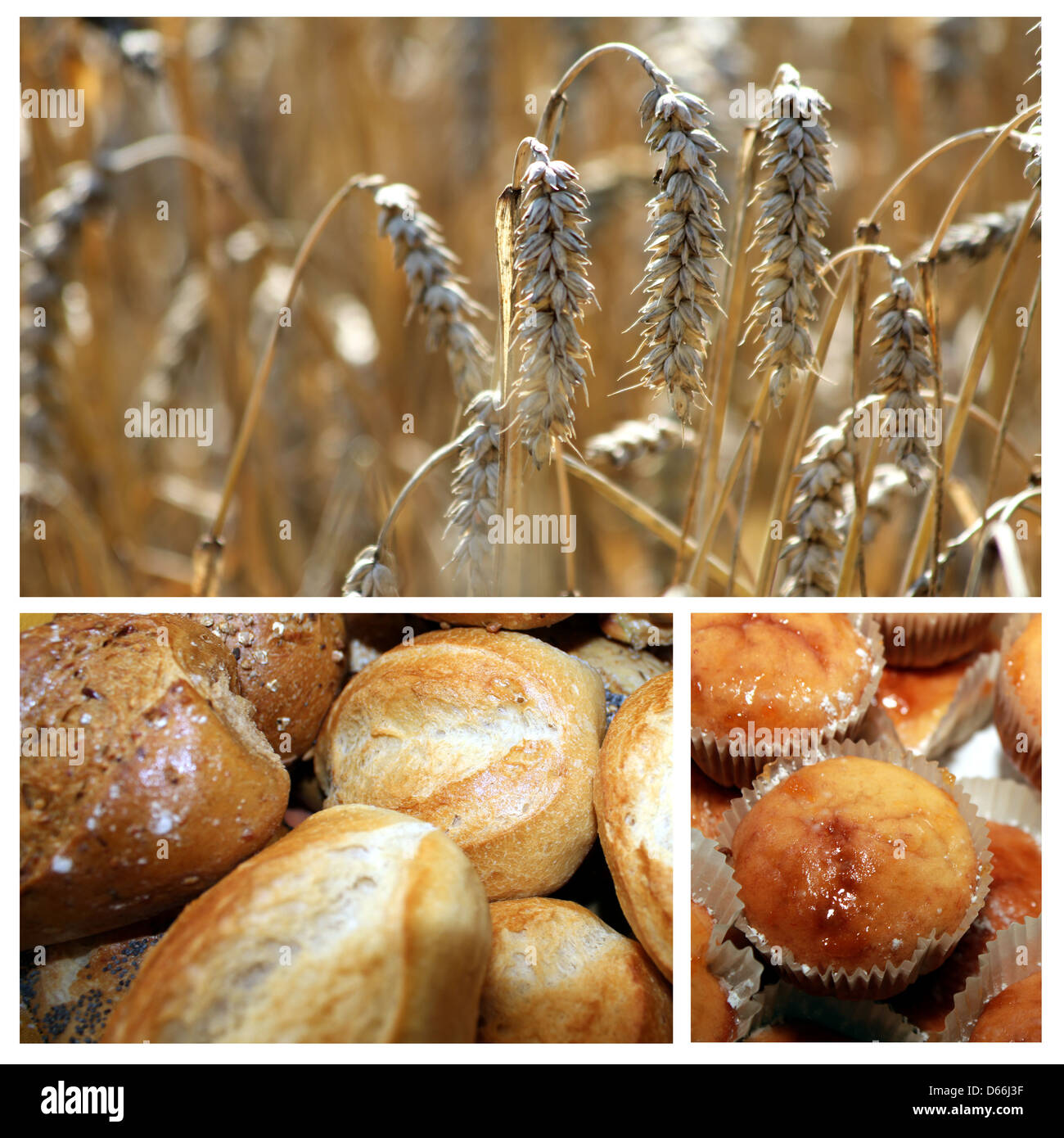 wheat an bakery products mix Stock Photo - Alamy