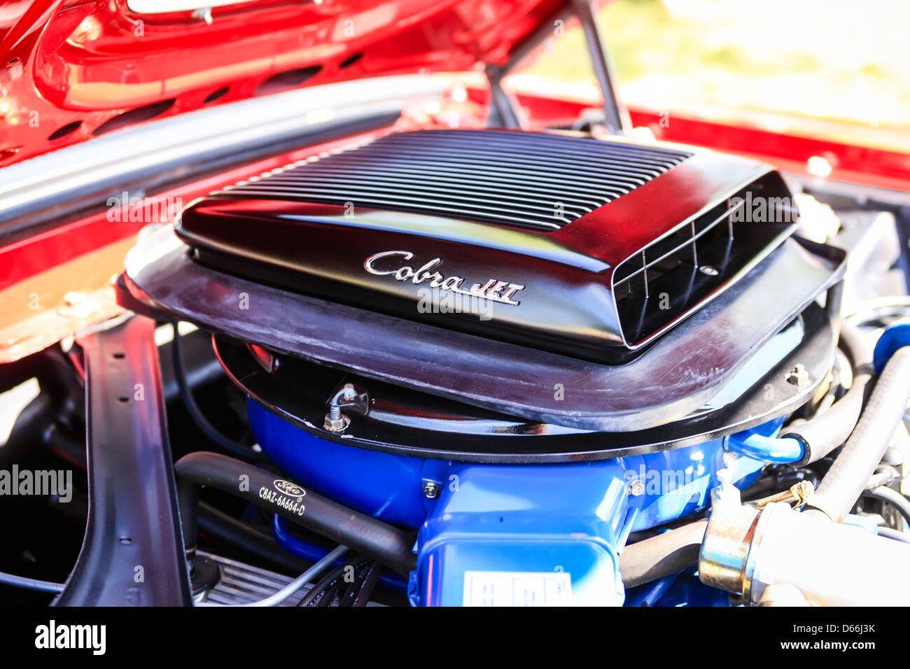 1969 Ford Mustang Mach 1 with a Cobra Jet engine Stock Photo - Alamy