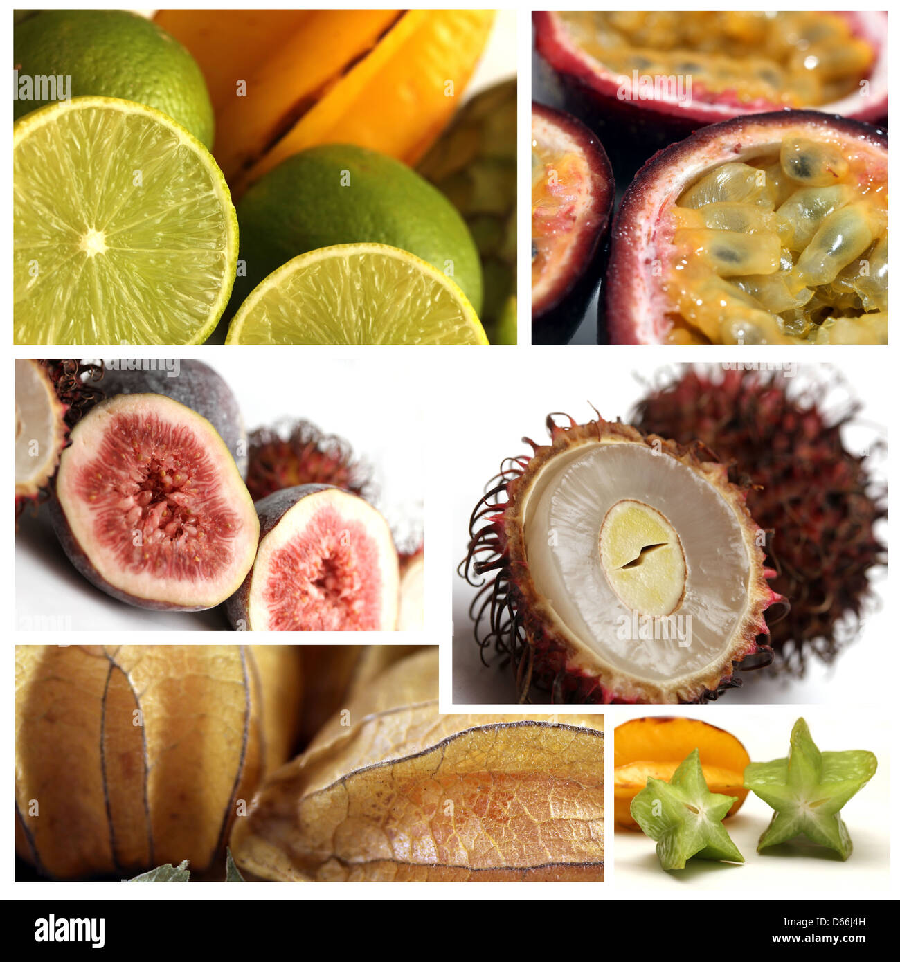 exotic fruits collage Stock Photo - Alamy