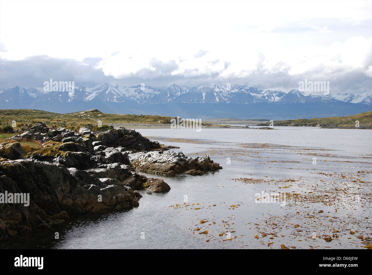 Beagle Channel, Tierra del Fuego, Patagonia Stock Photo - Alamy