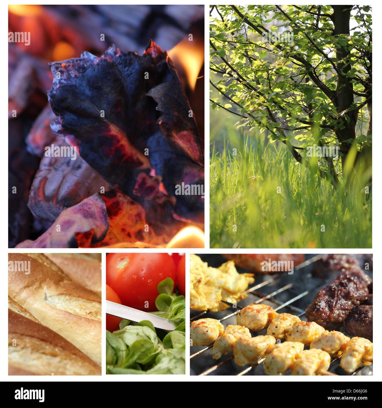 beautiful barbecue collage 2 Stock Photo - Alamy
