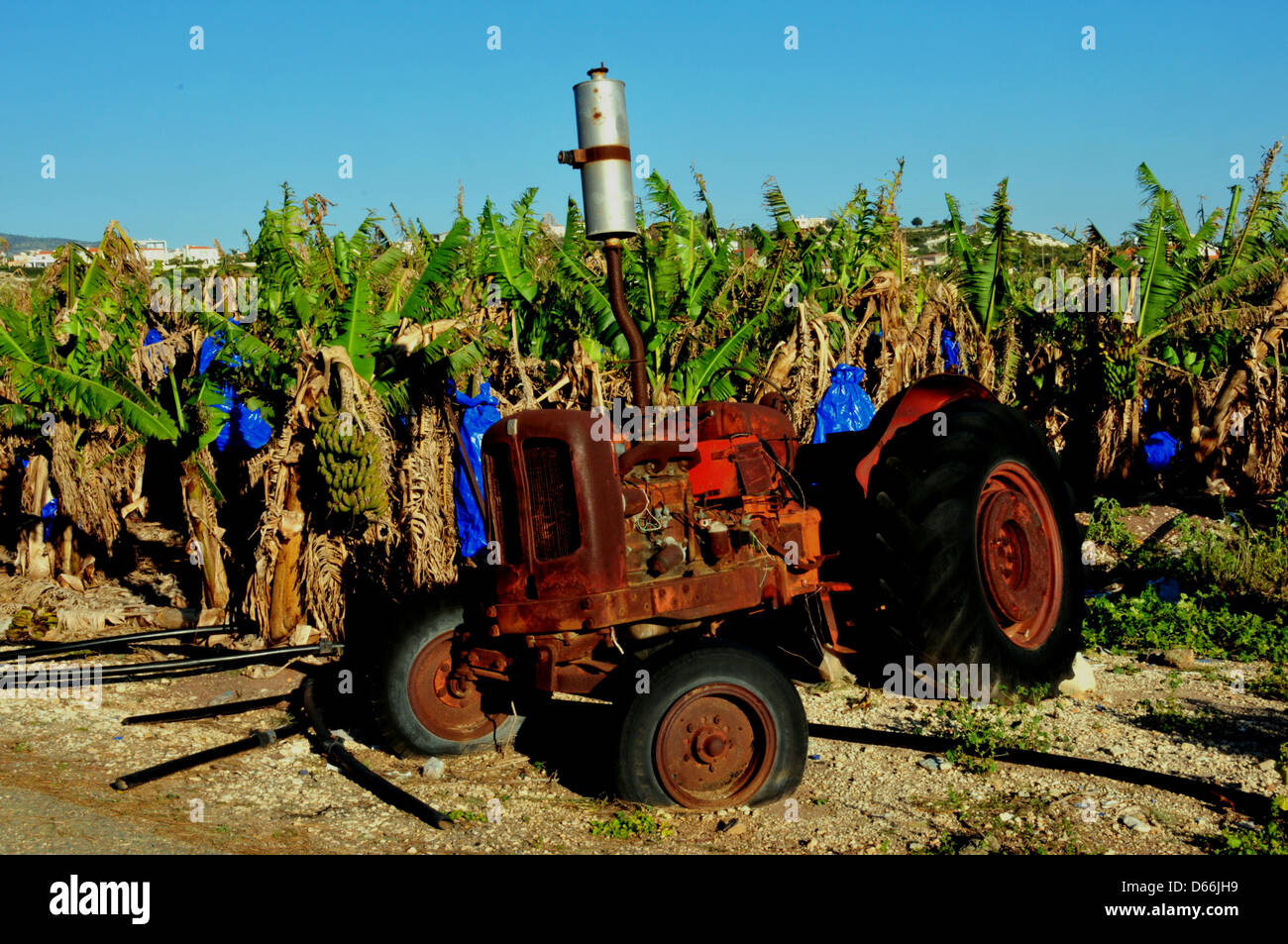 Old tractor engines hi-res stock photography and images - Alamy