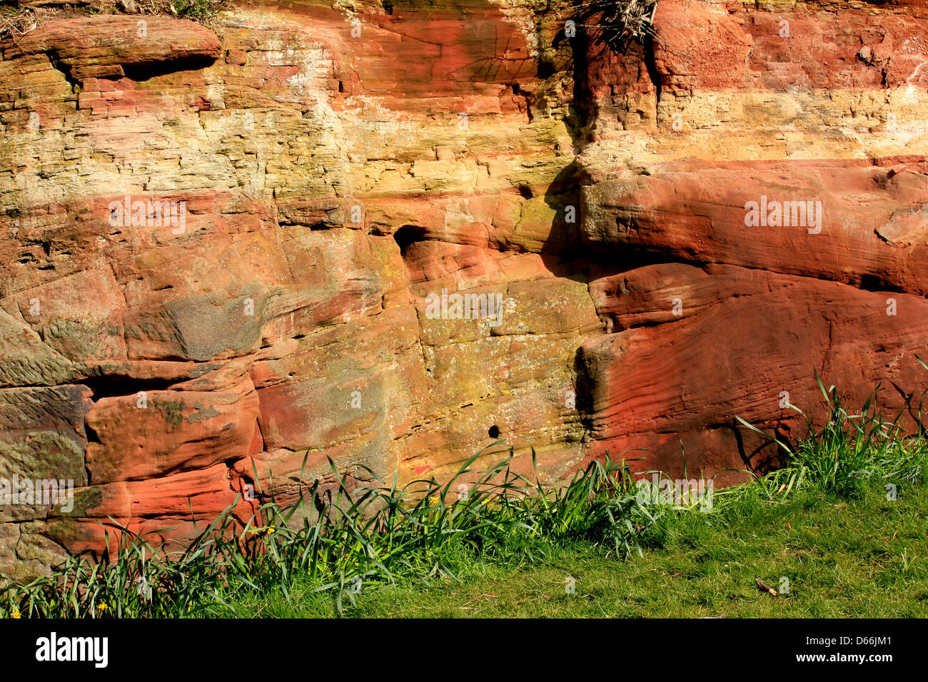 Beautiful geological example of folded New Red sandstone strata in ...