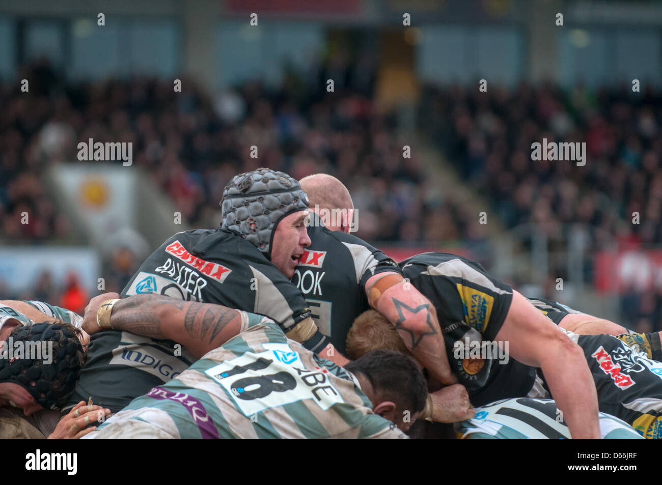 Rugby number 8 scrum hi-res stock photography and images - Alamy