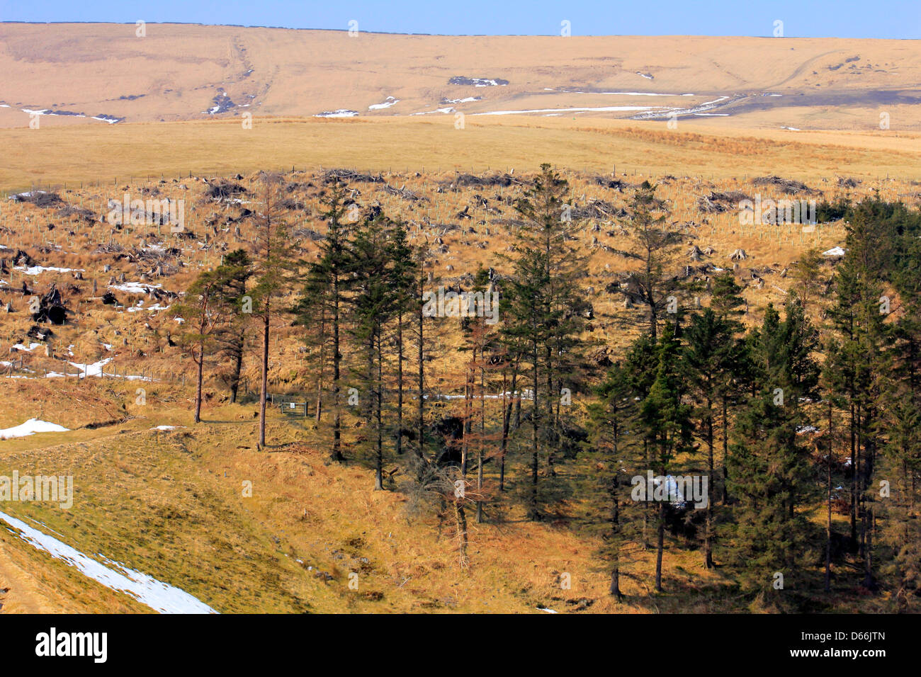 Bleak landscape hi-res stock photography and images - Alamy