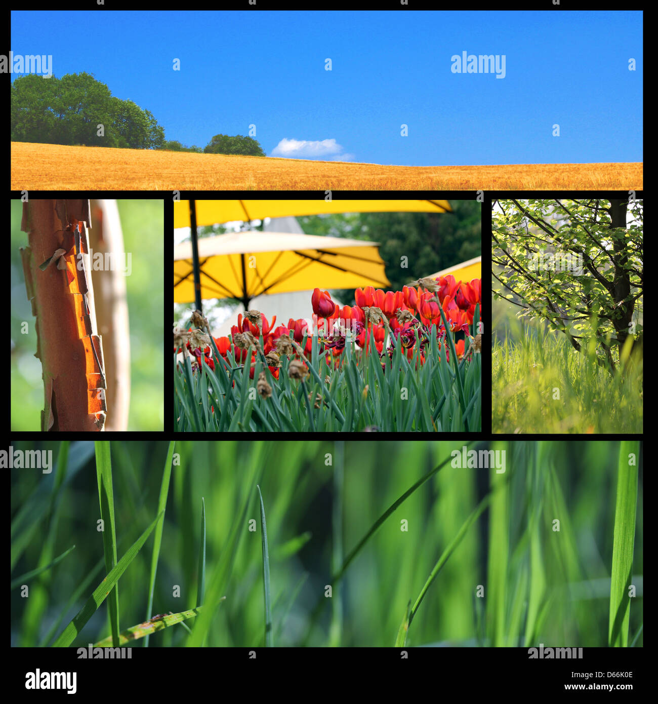summer collage 2 Stock Photo - Alamy