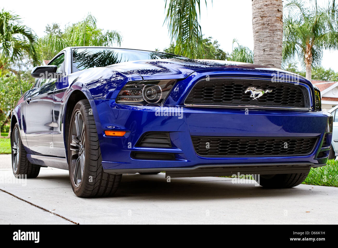 Mustang Azul Oscuro 2013 2013 Volkswagen Jetta, SE | 3VWDP7AJ9DM401656