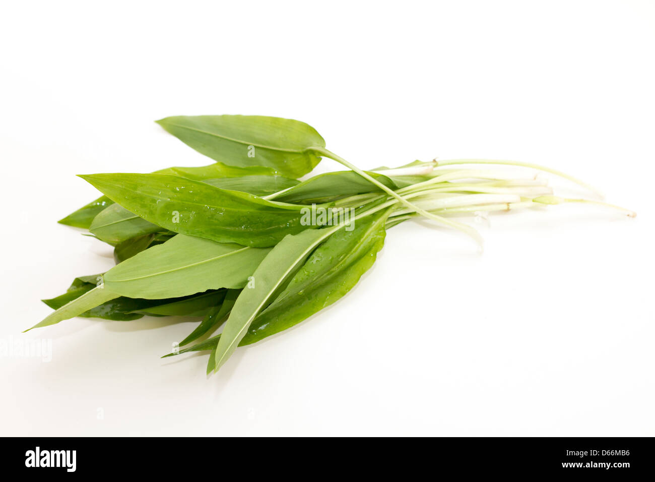 Ramson (wild garlic) pesto on white Stock Photo - Alamy