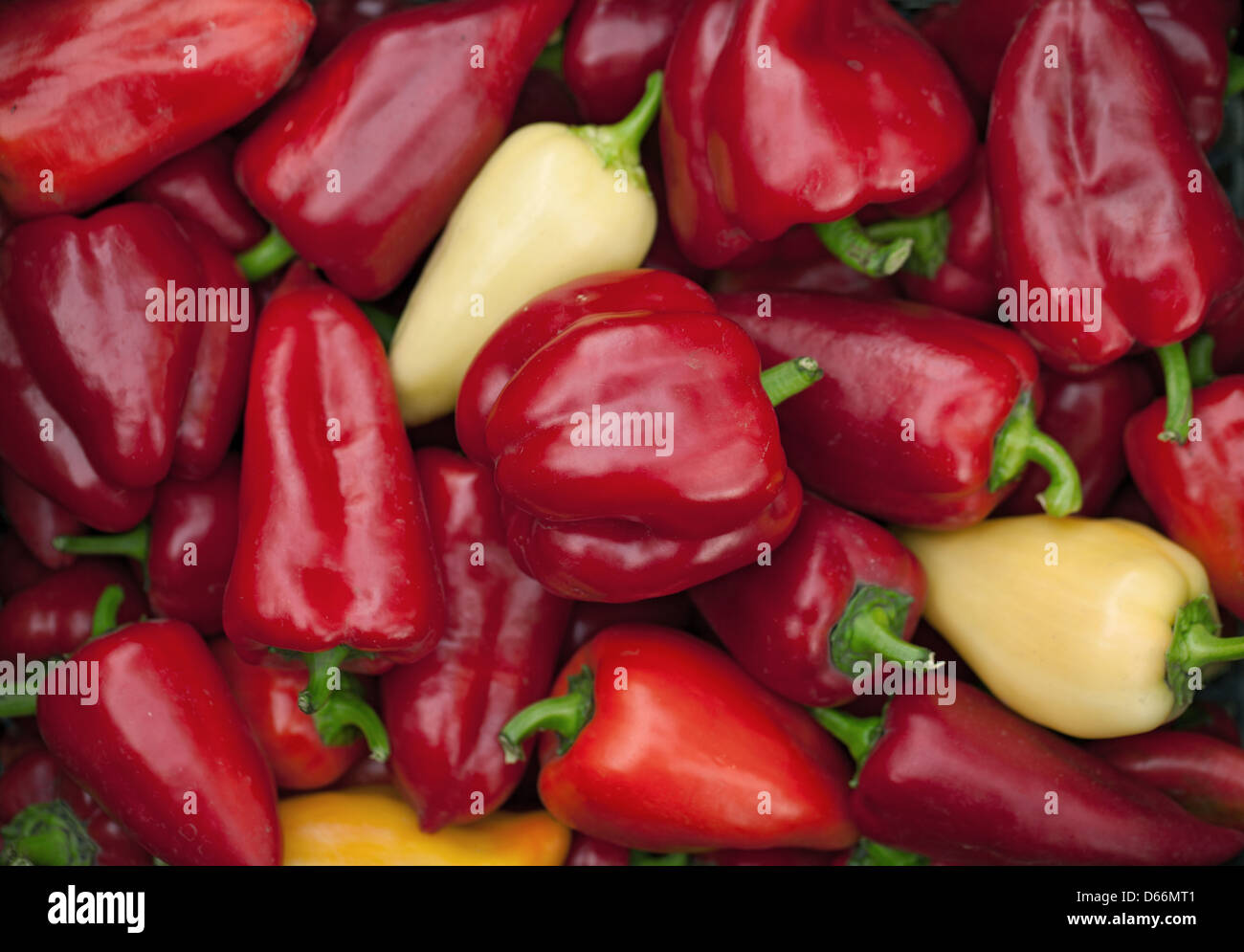 Full frame red bell peppers hi-res stock photography and images - Alamy