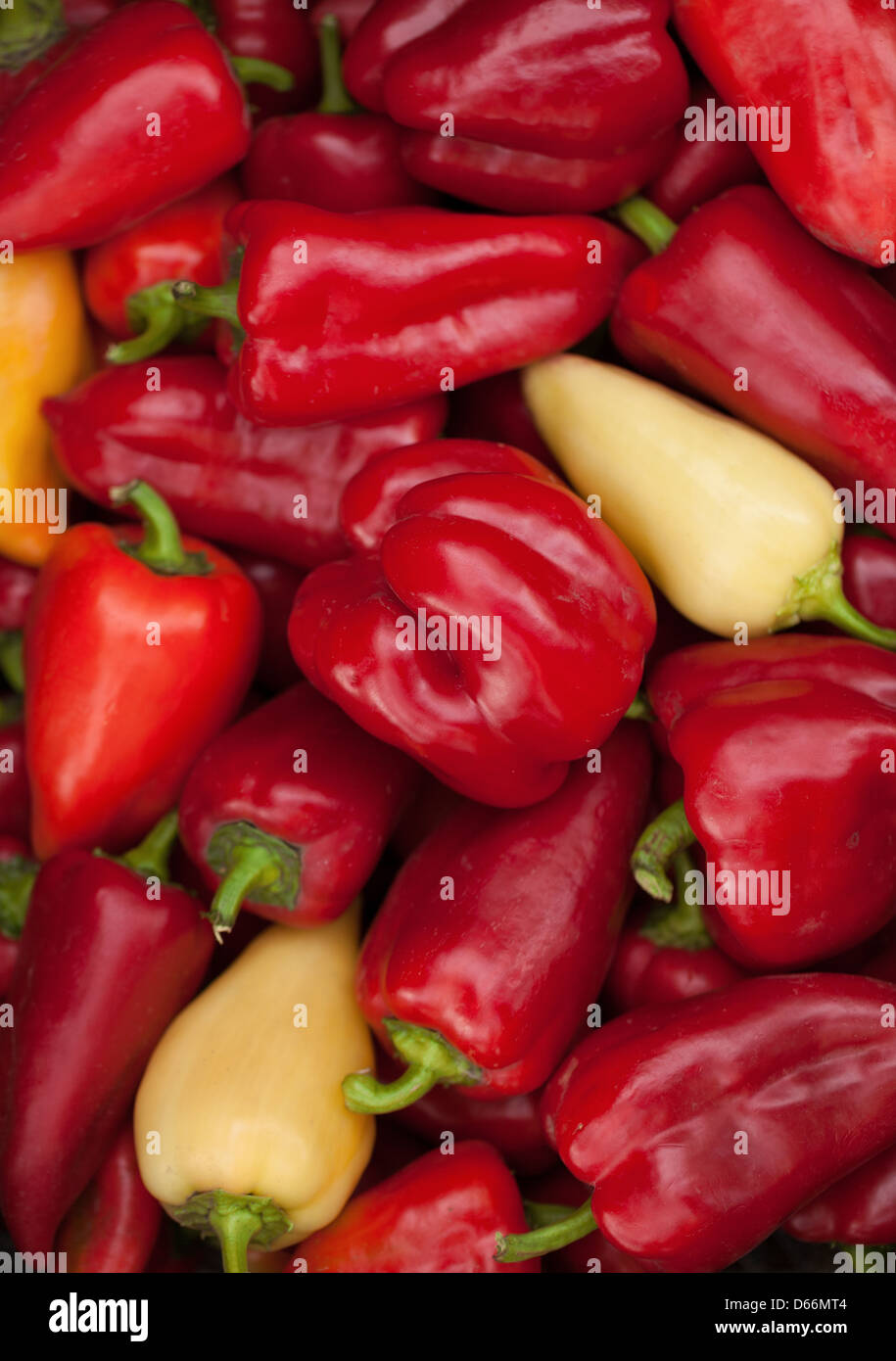 Peppers close-up photo Stock Photo - Alamy