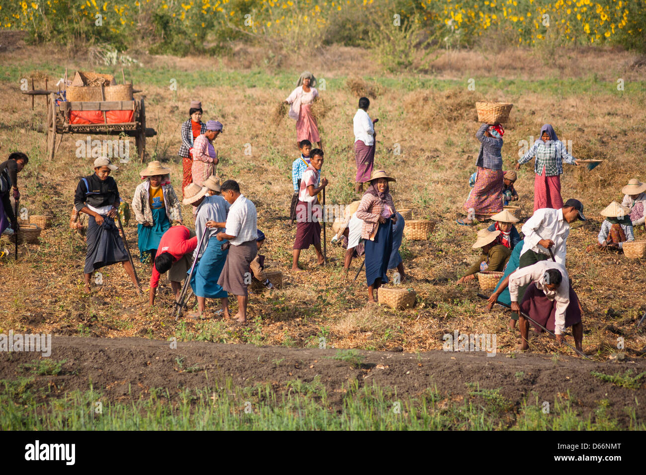 Poverty Of Farm Workers Stock Photos & Poverty Of Farm Workers Stock ...