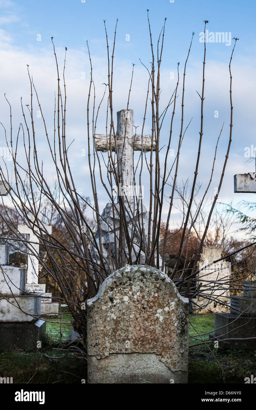 Wardlaw mausoleum kirkhill hi-res stock photography and images - Alamy