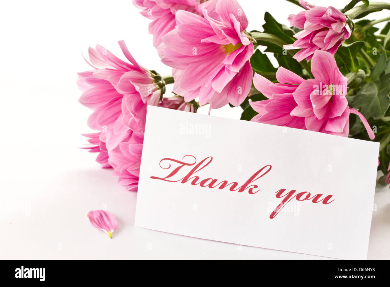 Flowers to say thank you hi-res stock photography and images - Alamy