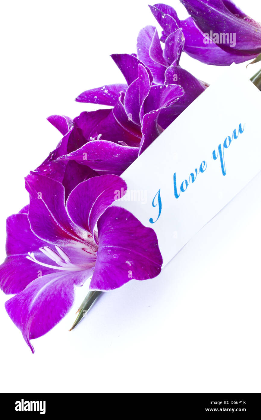 Holiday written on beautiful Cut Out Stock Images & Pictures - Alamy