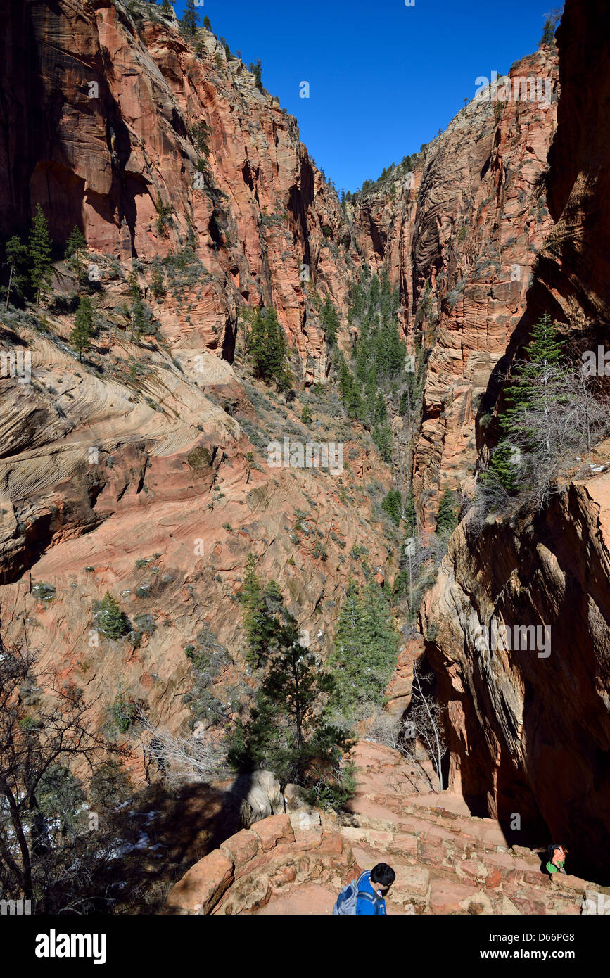 Hikers on the switchback trail of Walter's Wiggle. Zion National Park ...