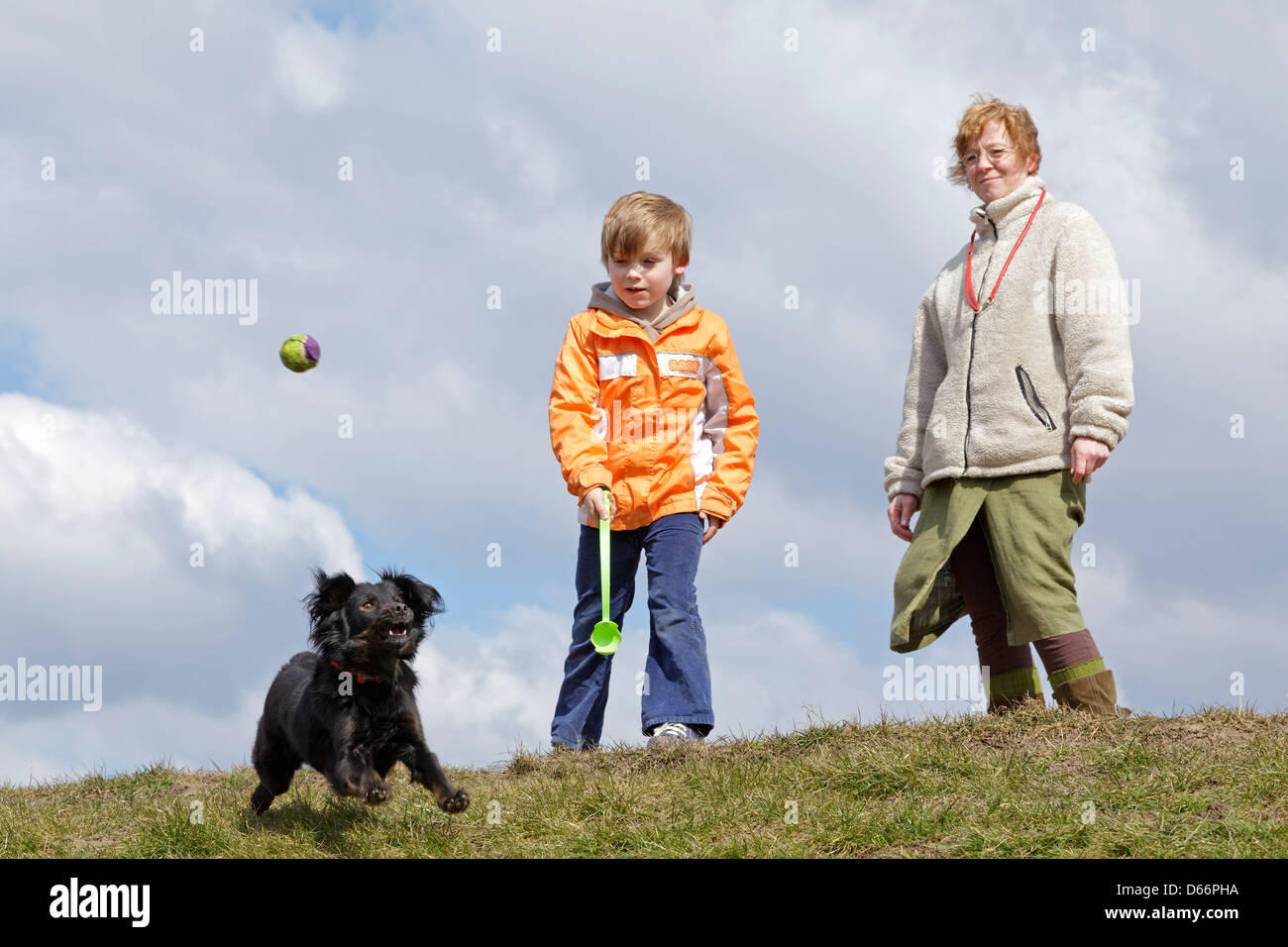 mother and son training their family dog Stock Photo - Alamy