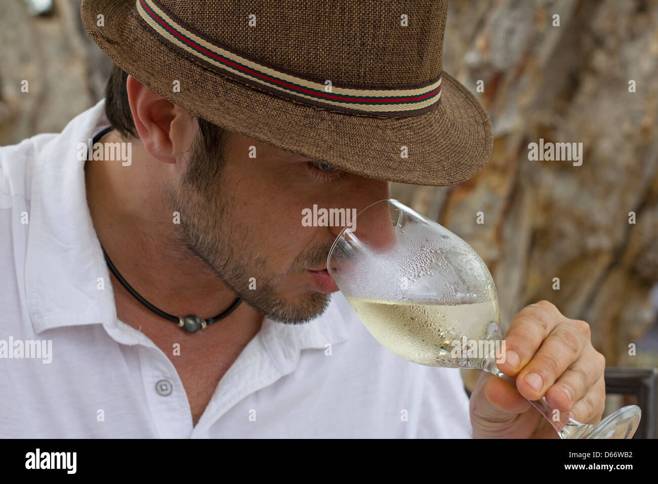 Wine tasting france vineyard hi-res stock photography and images - Alamy