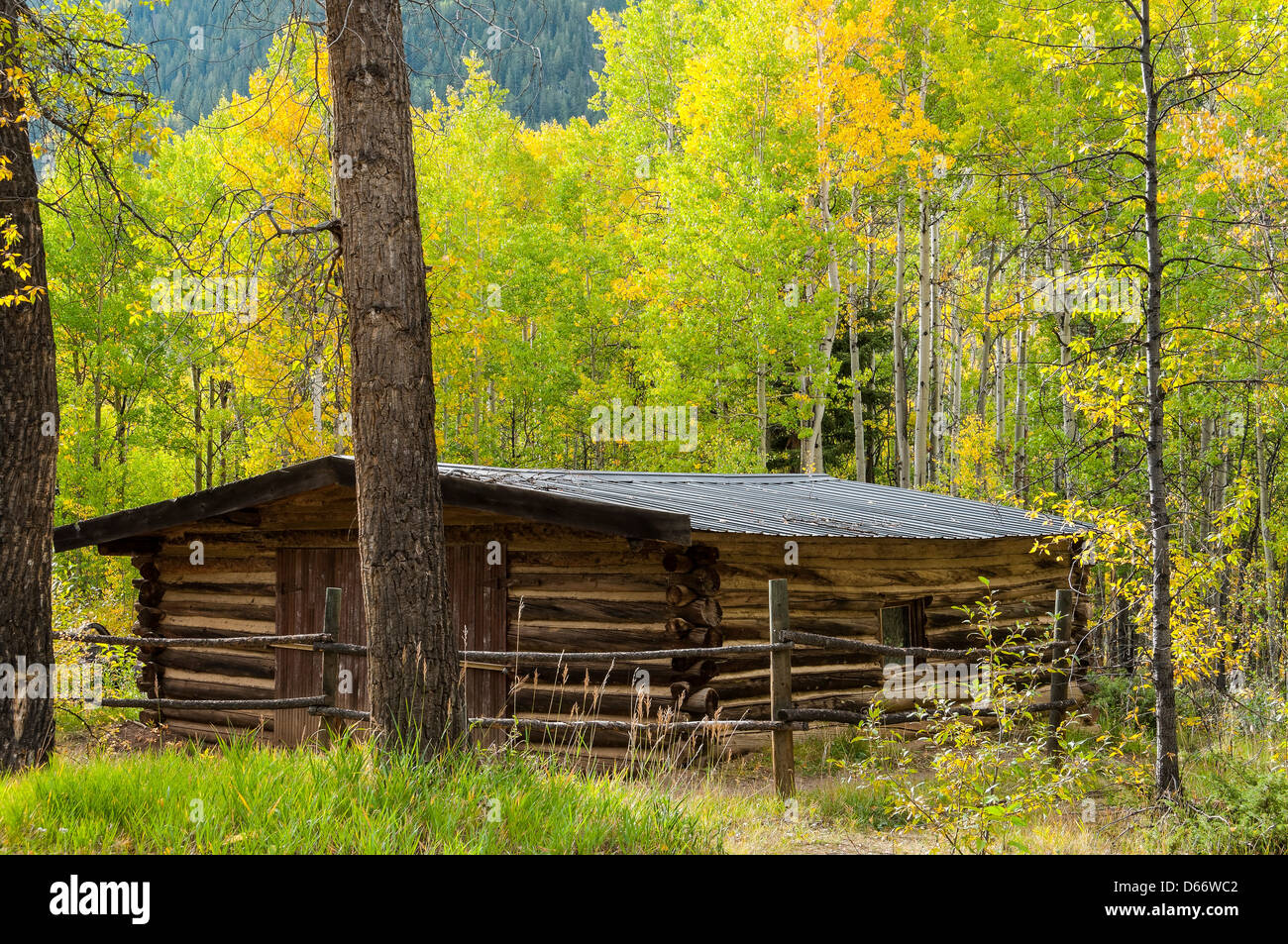 Cabin with autumn foliage, Vicksburg ghost town, Sawatch Mountains ...